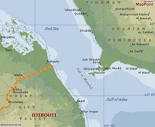 Human Origins 101: The Basics